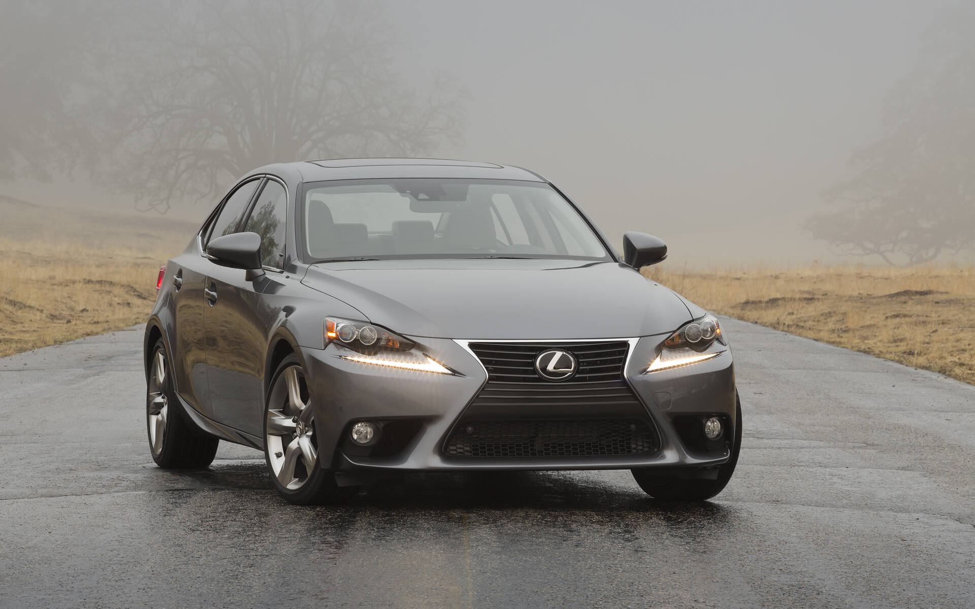 2014-2020 Lexus IS: What You Need to Know Before You Buy | Otogo