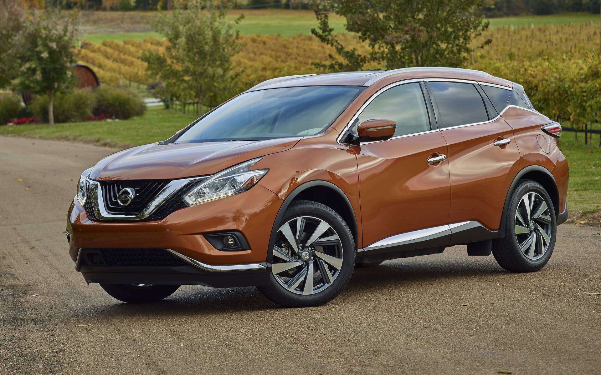 5 affordable and surprisingly luxurious pre-owned vehicles | Otogo