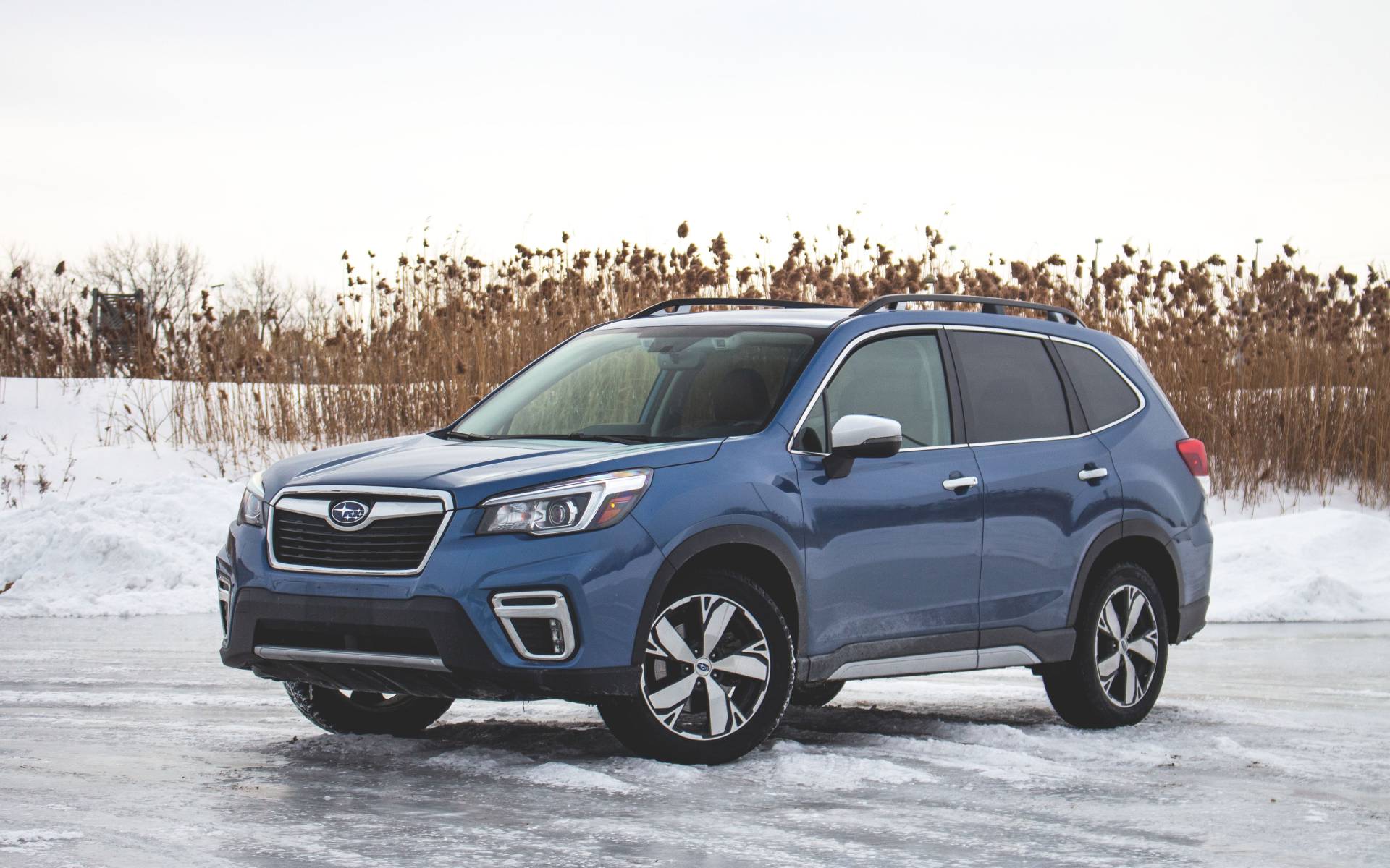 Subaru Forester 2019-2024: what to know before you buy? | Otogo