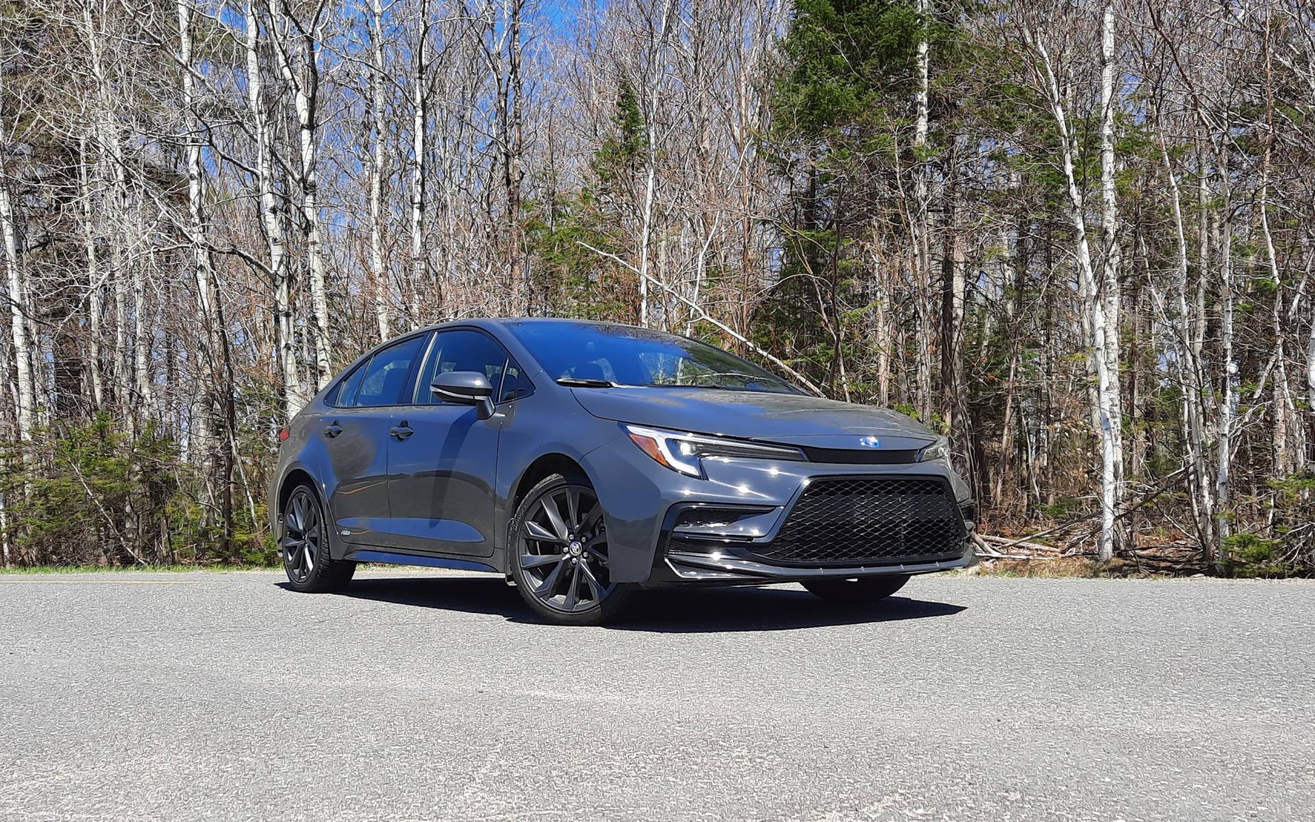 The best compact cars in 2025 | Otogo